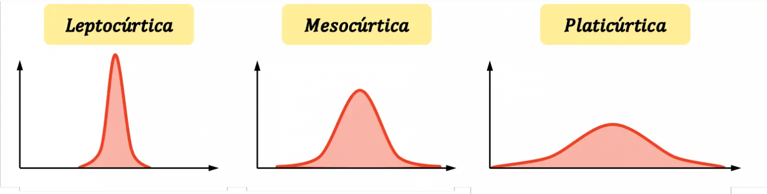 Curtosis: qué es, fórmula, tipos, calculadora...